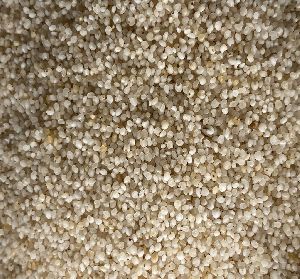 Yellow Millet, Color : yellow,green by Visva Overseas from Rajkot ...