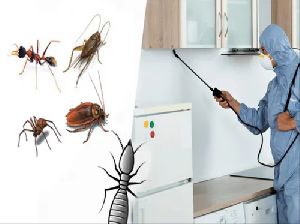 Service Provider of commercial pest control service & Post Construction ...