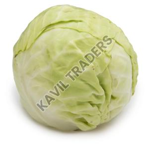 Cabbage - Get Latest Price & Mandi rates from Dealers & Traders ...
